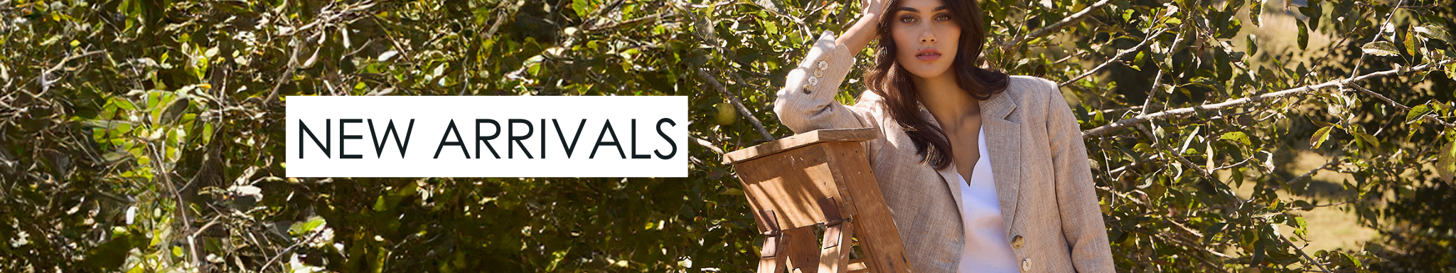 Identity Clothing NZ - Women's Clothing | Buy Women's Clothing Online : New